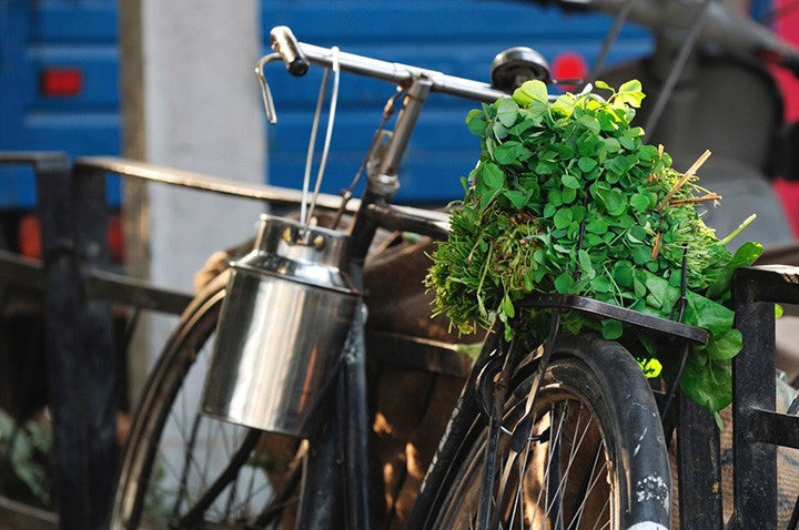 veg meals – BEFIT NUTRITION